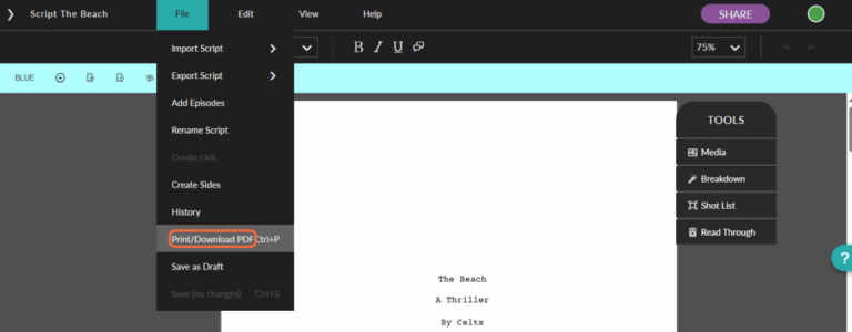 Script Revision Colors: How to Track Changes in Production - Celtx Blog