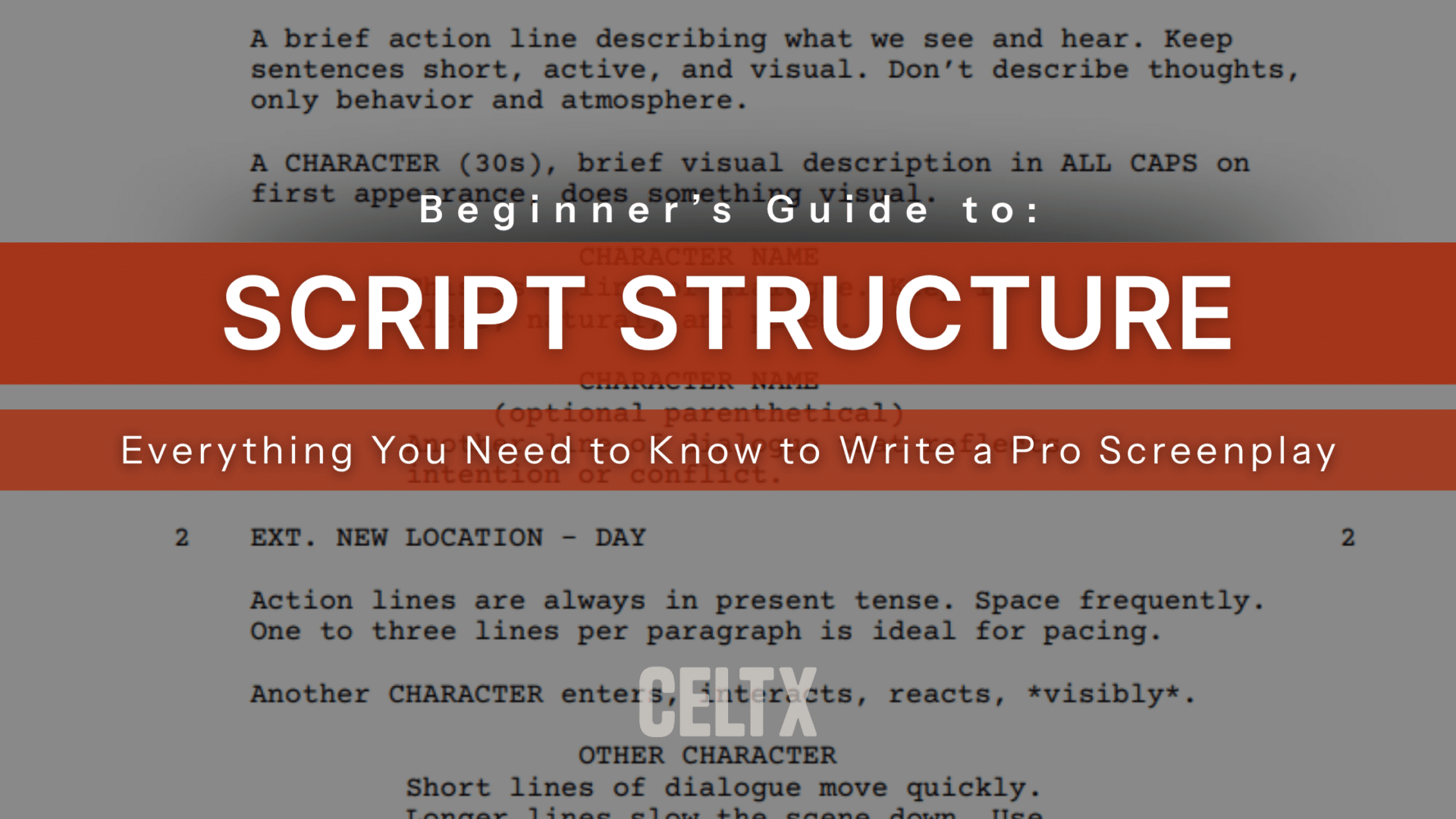 Beginner’s Guide to Script Structure: Everything You Need to Know to ...