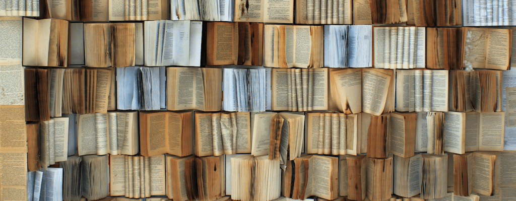 How to Adapt a Book into a Screenplay (Structure, Rights, and Examples ...